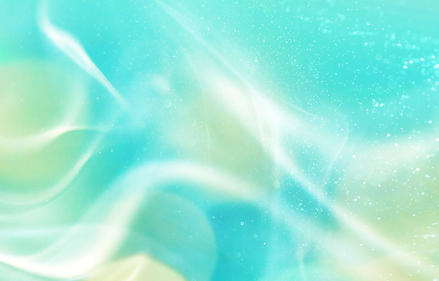 SHIRM GLANZ | ウェブデザイン | NON-GRID INC.